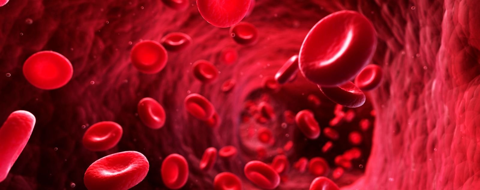 Coagulation – BioSystems Diagnostics Pvt. Ltd